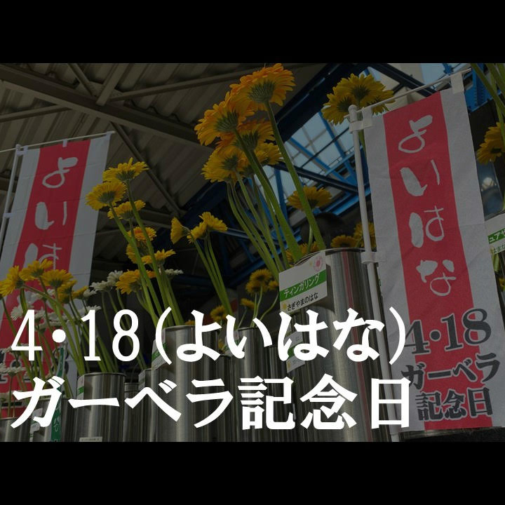 YouTube「FAJ花花ちゃんねる」 更新しました | Flower Auction Japan | フラワーオークションジャパン株式会社