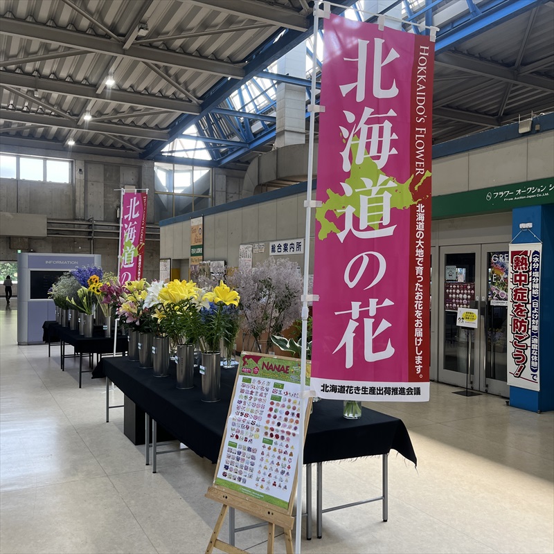 「北海道の花」中央通路展示を行いました | Flower Auction Japan | フラワーオークションジャパン株式会社